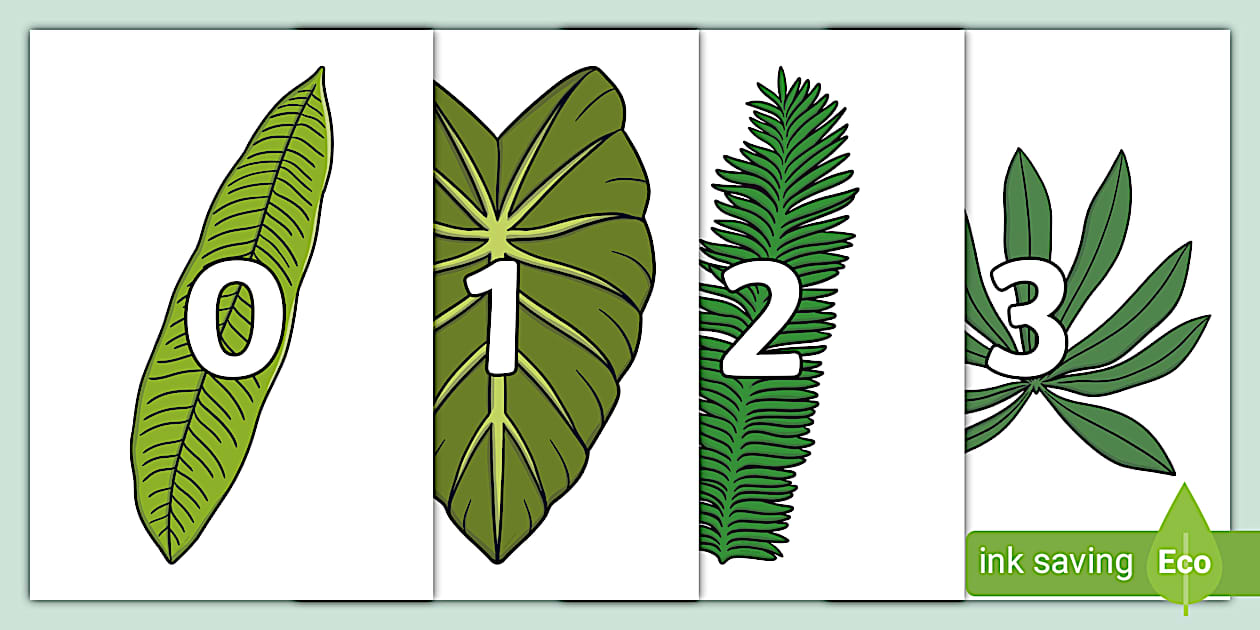 Black and White Numbers 0-30 on Jungle Leaves - Twinkl