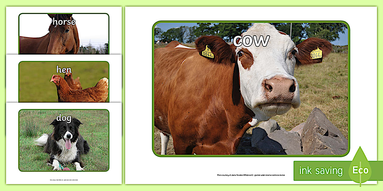 The Farm Animals Aistear Display Photos (teacher made)