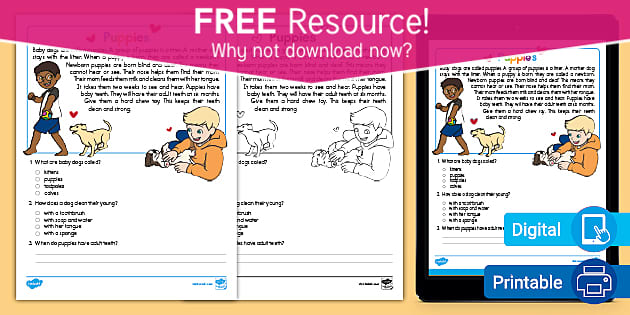 Puppy Reading Comprehension Activity for Kids | Twinkl USA