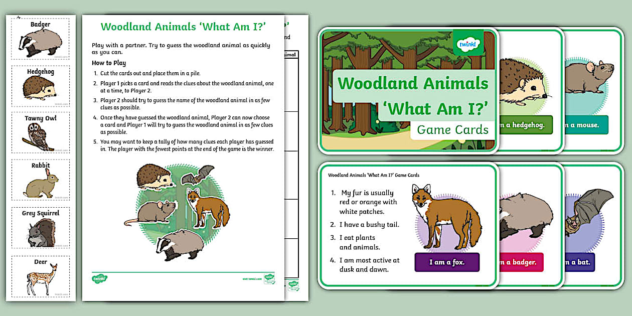 KS1 Woodland Animals What am I? Game and Activity Sheet