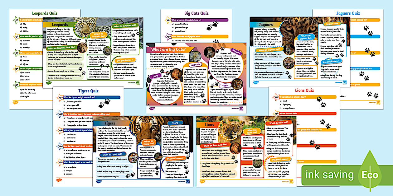 What Are Big Cats? Fact File and Quiz Pack - KS1 - Twinkl