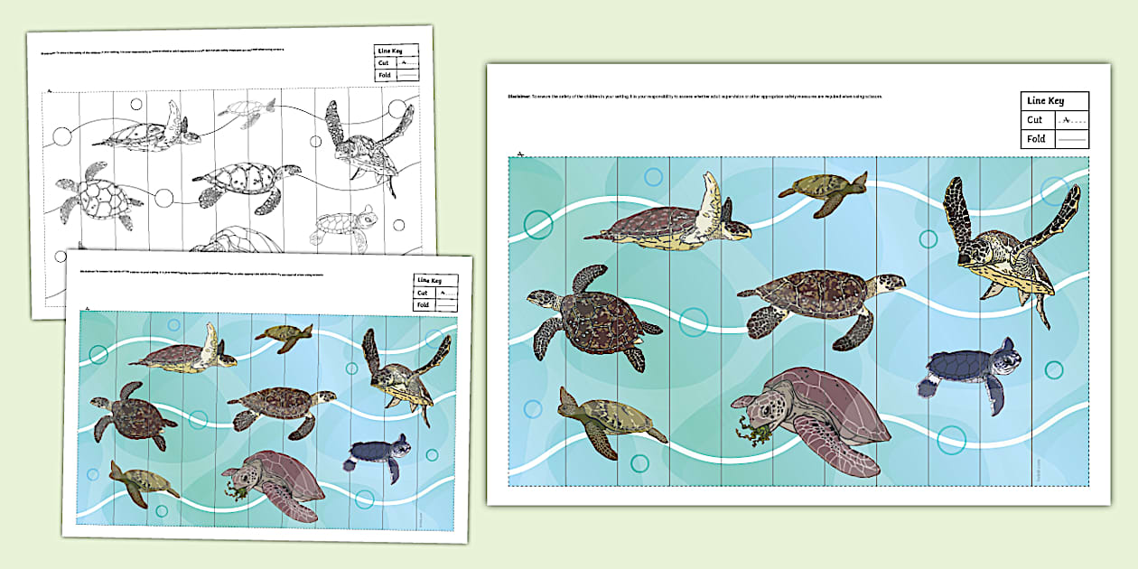Turtle Paper Fan Folding Template (teacher made) - Twinkl