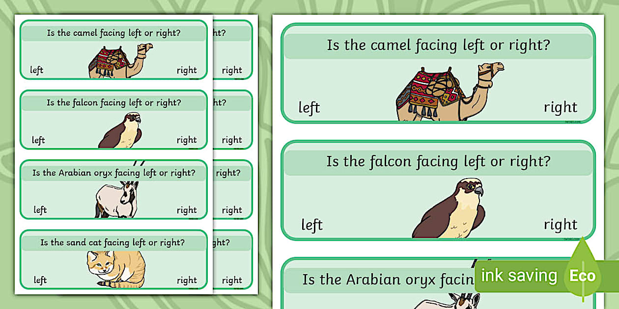 UAE Animals Direction Cards (teacher made) - Twinkl