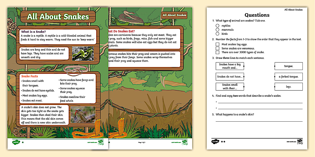 KS1 All About Snakes Differentiated Reading Comprehension Activity