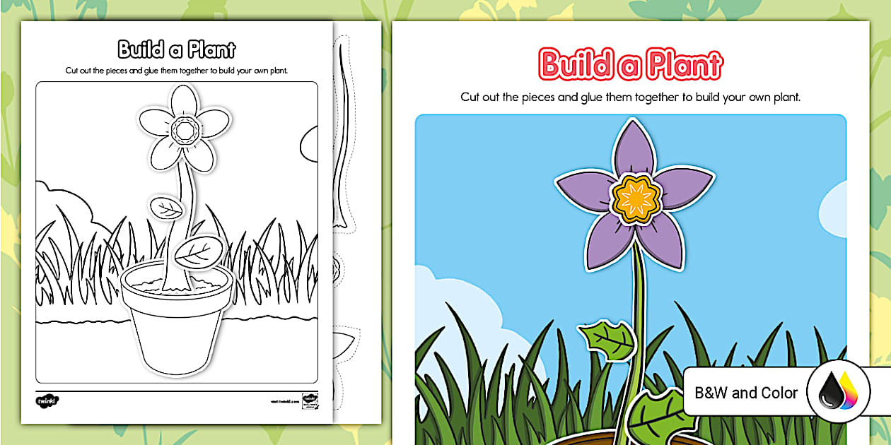 Build a Plant Cutting Skills Worksheet