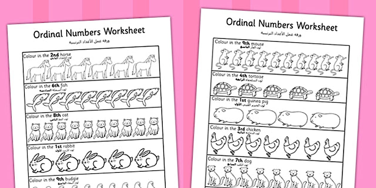 Ordinal Numbers Worksheet Arabic Translation (teacher made)