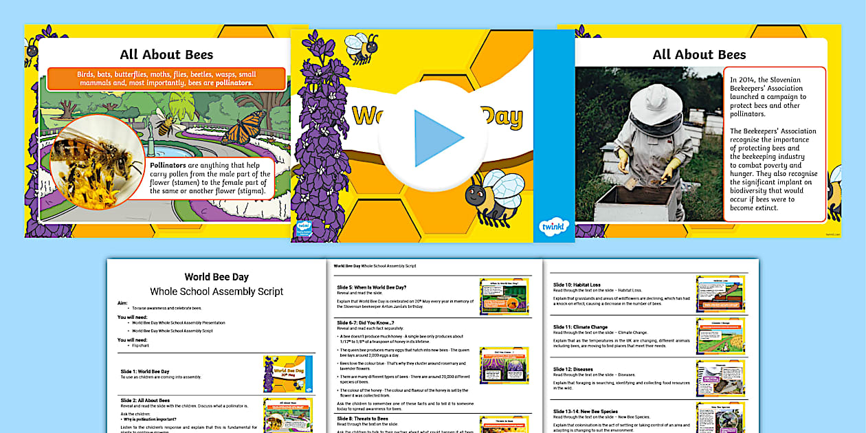 World Bee Day Whole School Assembly Pack
