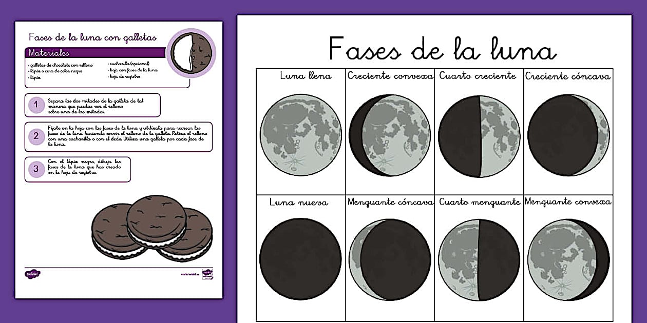 Ficha de actividad: Fases de la luna con galletas - Twinkl