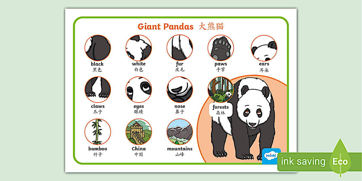 Giant Pandas Word Mat - English/Mandarin Chinese - Twinkl