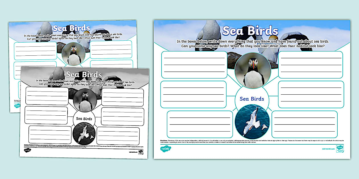 Sea Birds Mind Map (Teacher-Made) - Twinkl