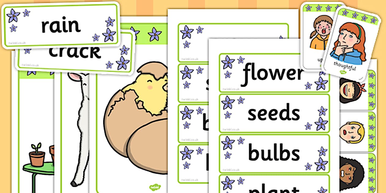 Spring Mind Map Starter Resource Pack (teacher made)