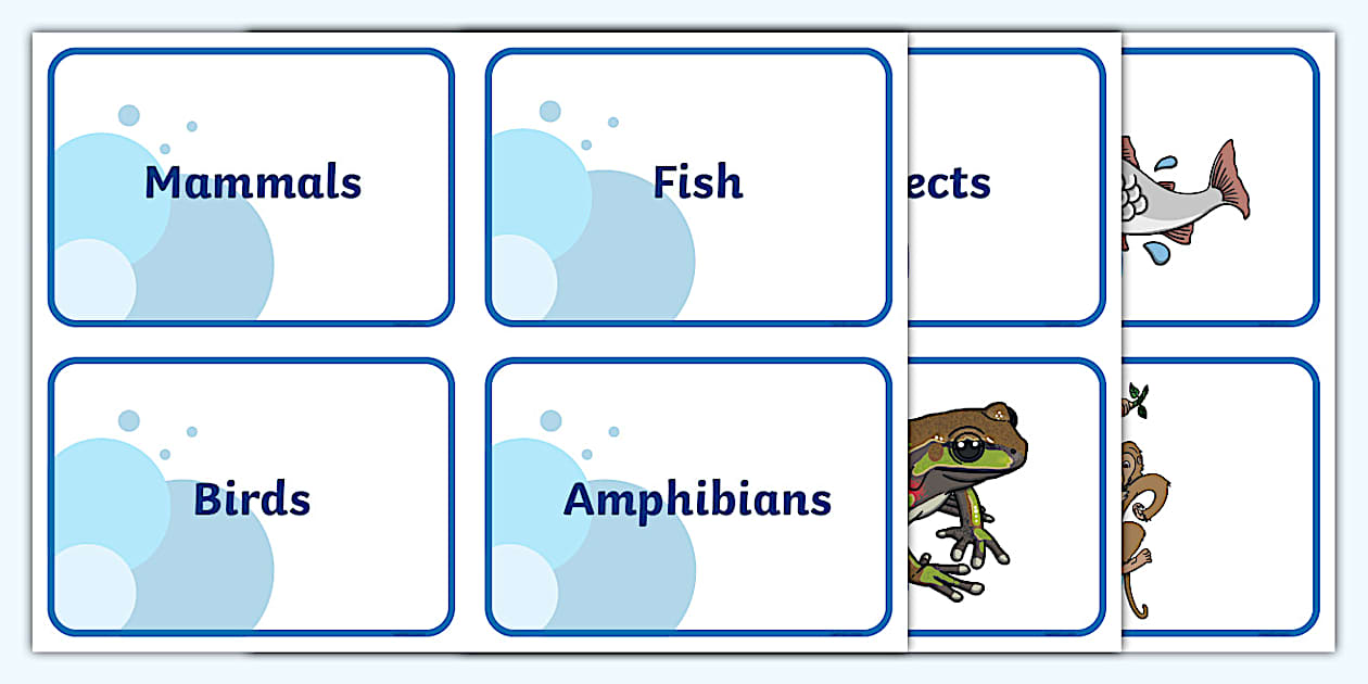 Matching Cards: Animal Groups (teacher made) - Twinkl