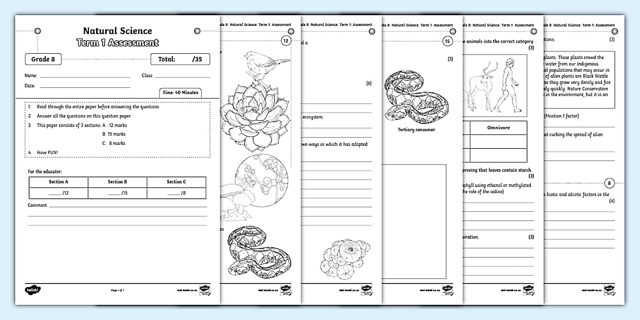 Grade 8 Natural Science: Term 1 Assessment