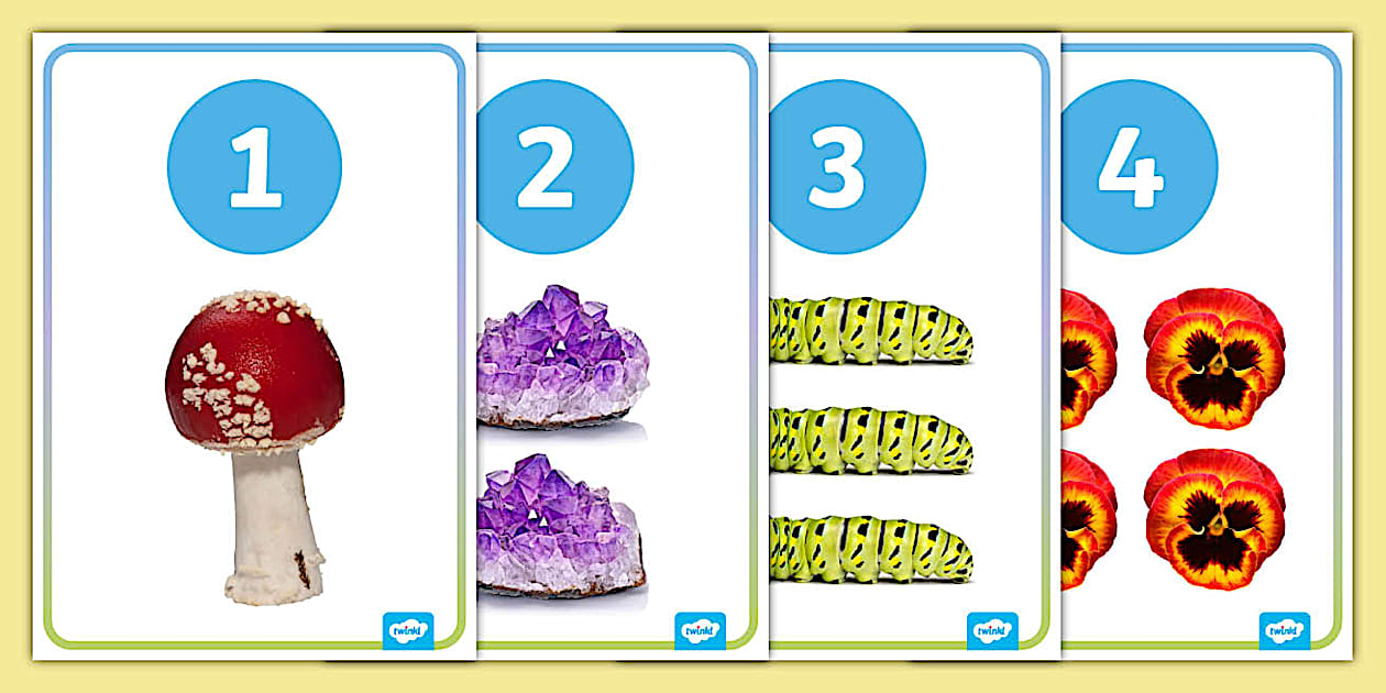 Nature Number Flash Cards 1 - 20 - Twinkl