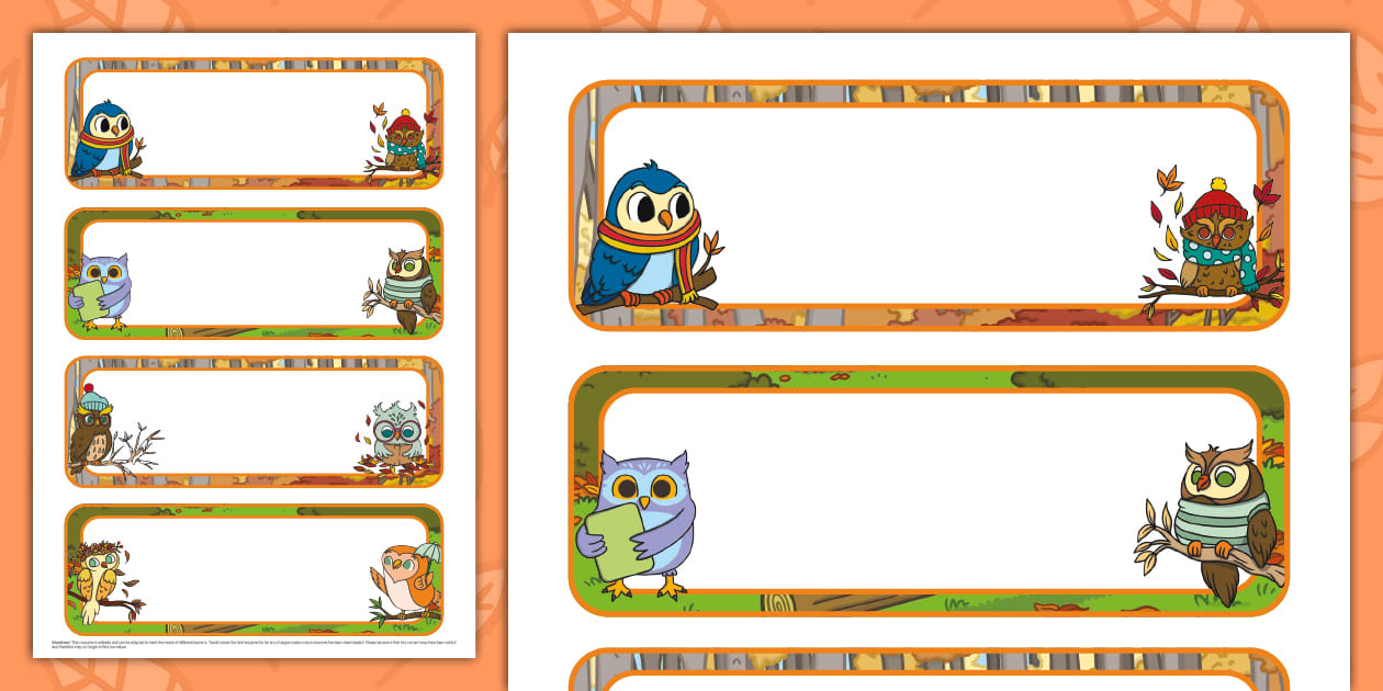 Funny Owl Editable Name Labels (teacher made) - Twinkl