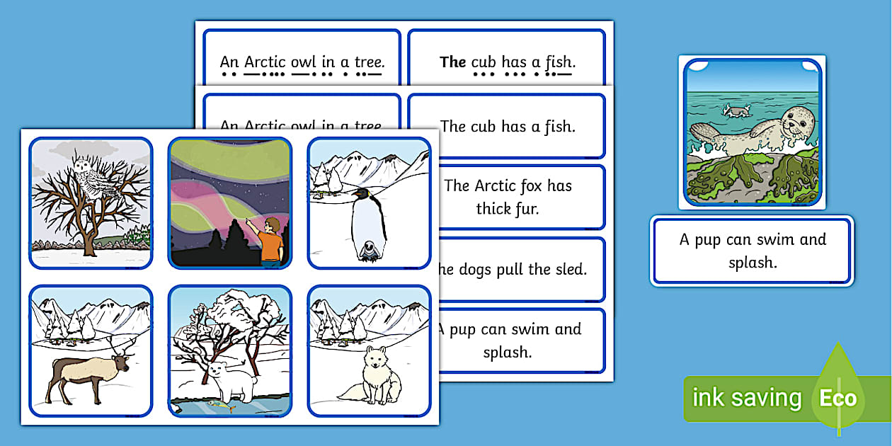 Polar Regions Simple Sentence Matching Activity - Twinkl