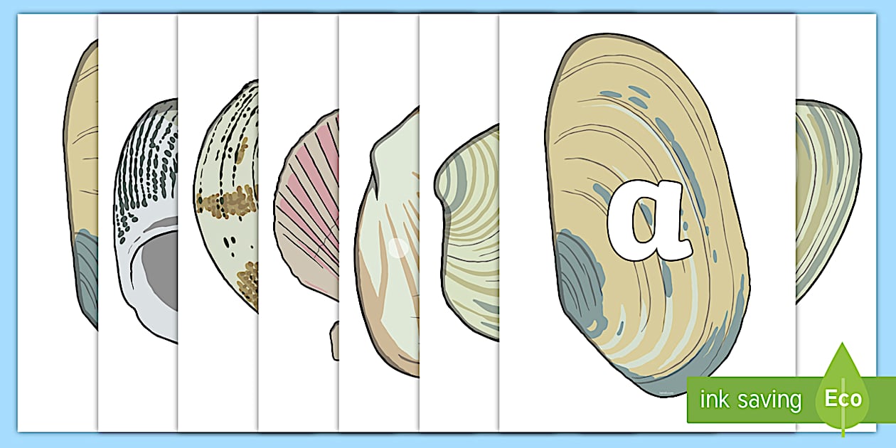 Editable A-Z Alphabet on Sea Shells (teacher made) - Twinkl