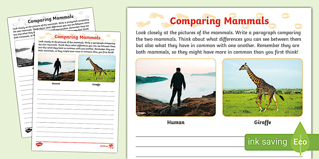 Comparing Mammals Worksheet (teacher made) - Twinkl