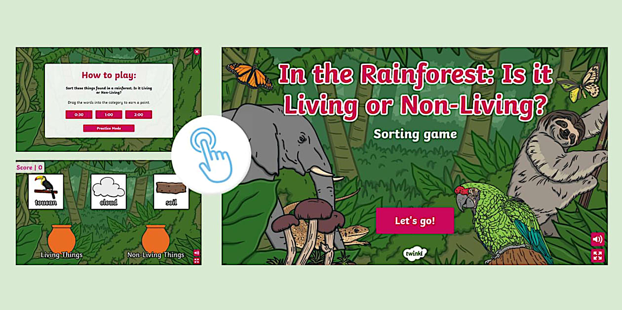 In the Rainforest: Is it Living or Non-Living? (Interactive Game)