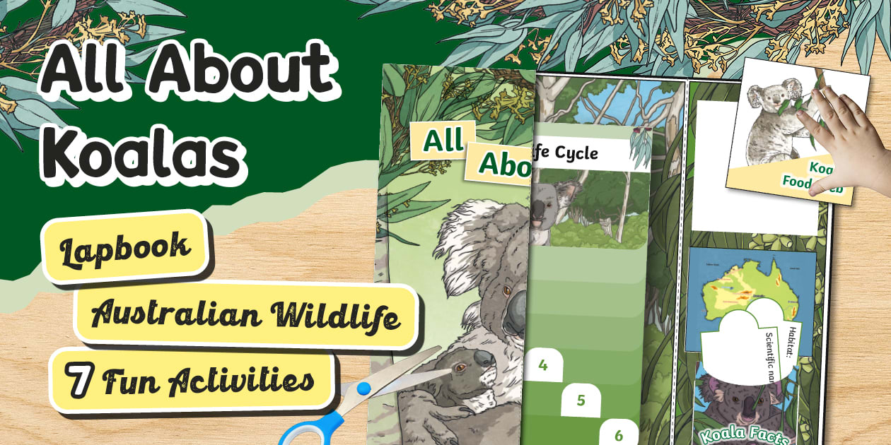 Koala Lapbook Activity Pack
