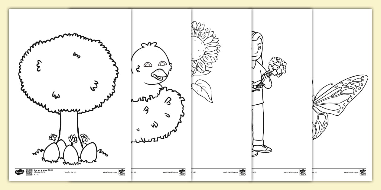 Welsh Spring Colouring Pages | Twinkl Resources | Wales