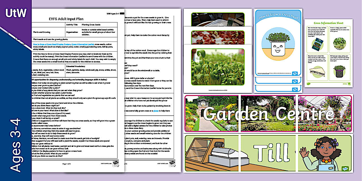 EYFS Planting Cress Seeds Pack - How To Grow Cress - Twinkl