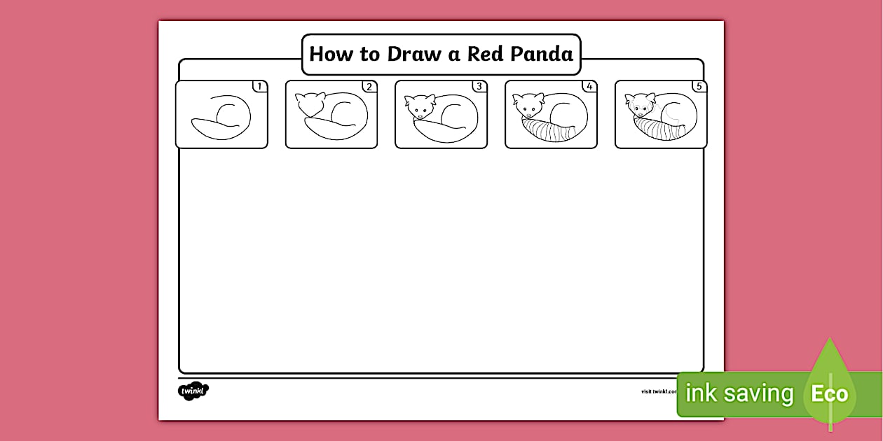 How to Draw a Red Panda (teacher made) - Twinkl
