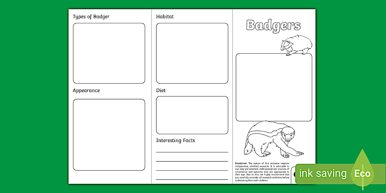 Badgers Animal Leaflet Template (teacher made) - Twinkl