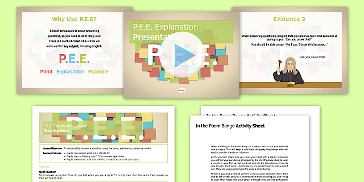 PEE Explanation Pack (teacher made) - Twinkl