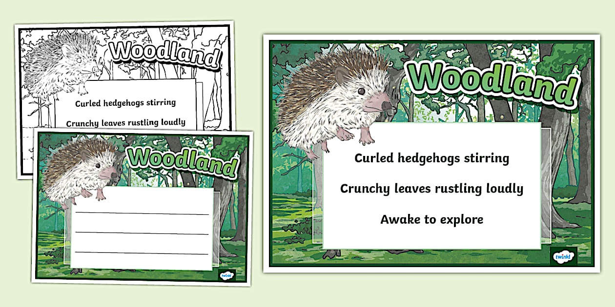 Woodland Haiku Example (teacher made) - Twinkl