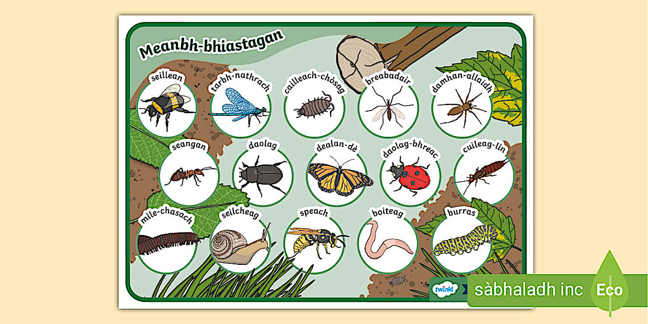 Meanbh-bhiastagan - Brat-fhacail - Gaelic Insects Word Mat