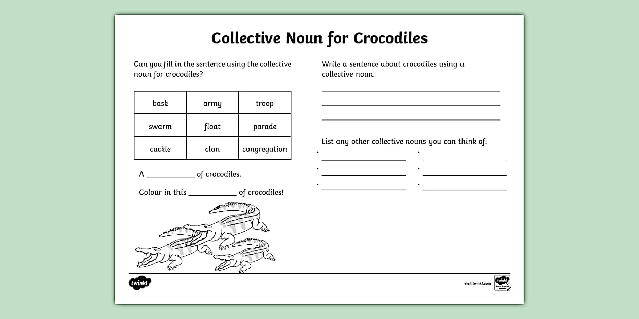Collective Noun for Crocodiles Worksheet (Teacher-Made)