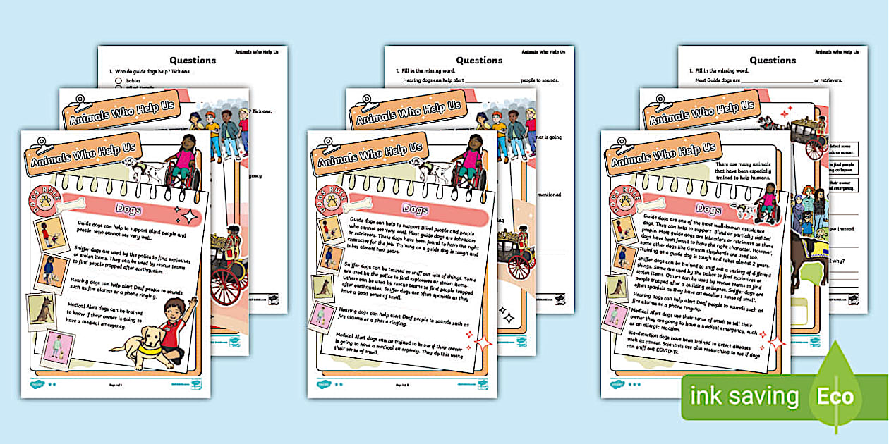 Animal Jobs | Animals Who Help Us Comprehension | Twinkl KS1