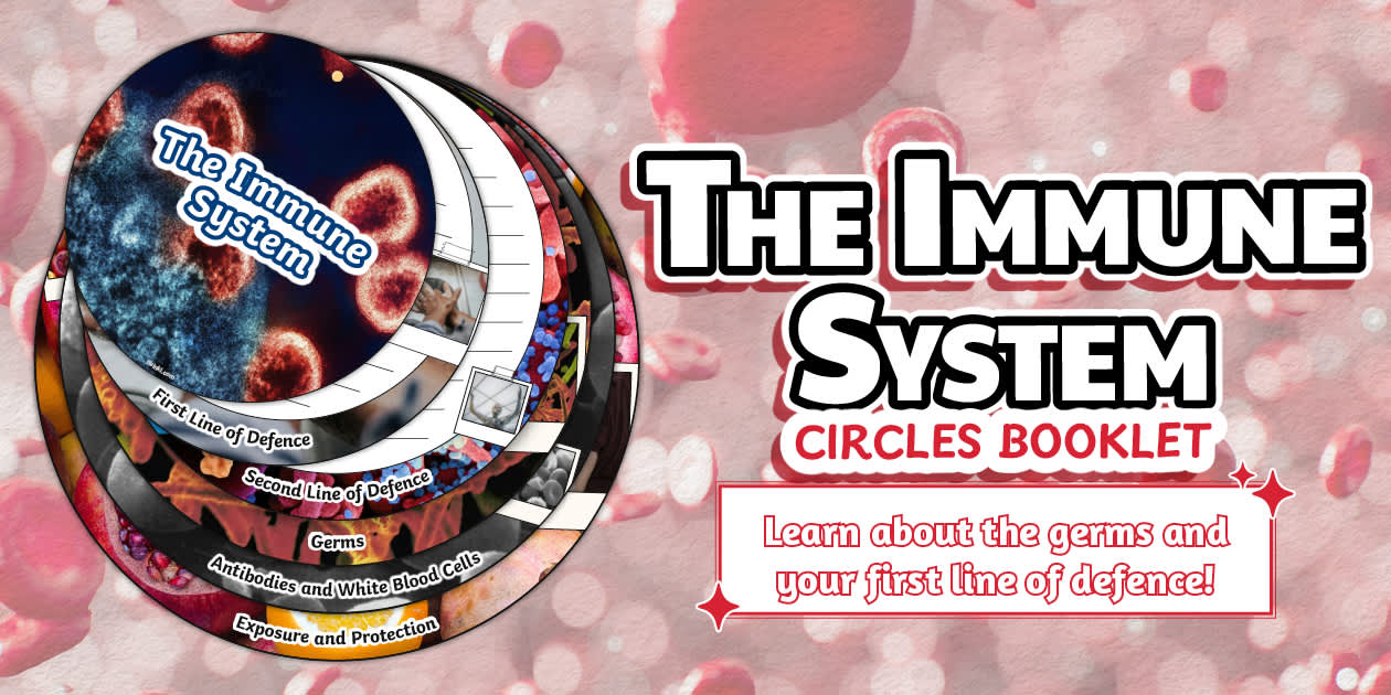 The Immune System Circles Booklet