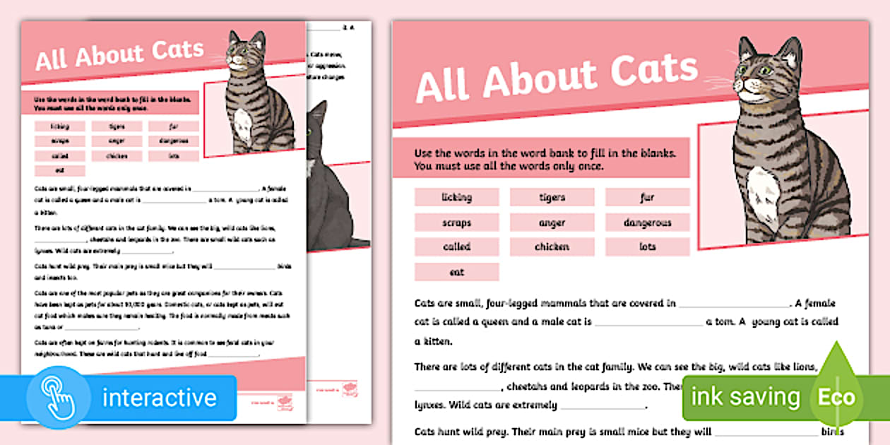 Cats Cloze Procedure 3rd/4th class (teacher made) - Twinkl