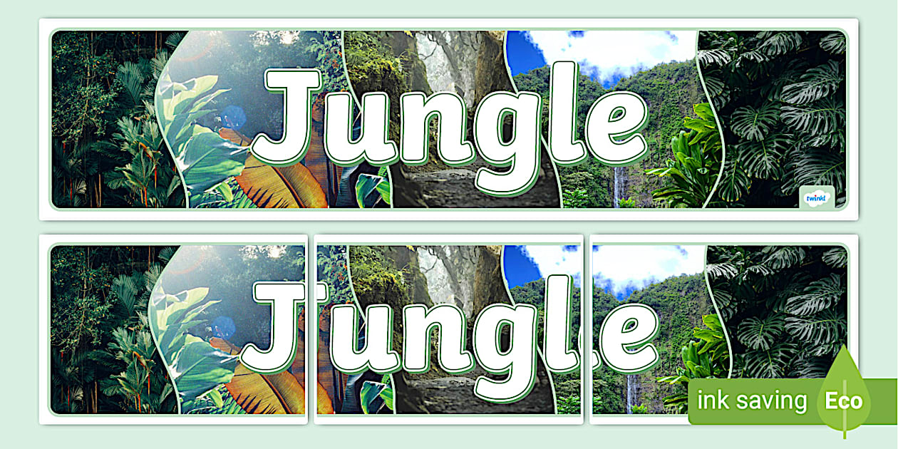 The Jungle Photo Display Banner (Teacher-Made) - Twinkl