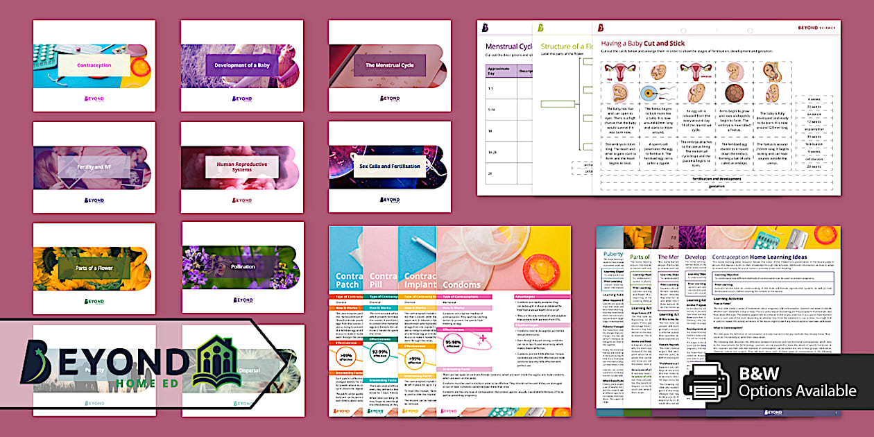 KS3 Reproduction Unit Bundle (Science Home Learning)
