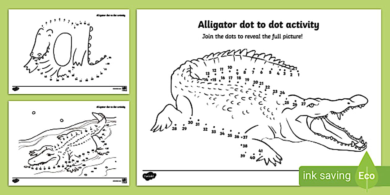 Alligator Dot-To-Dot Activity Pack (teacher made) - Twinkl