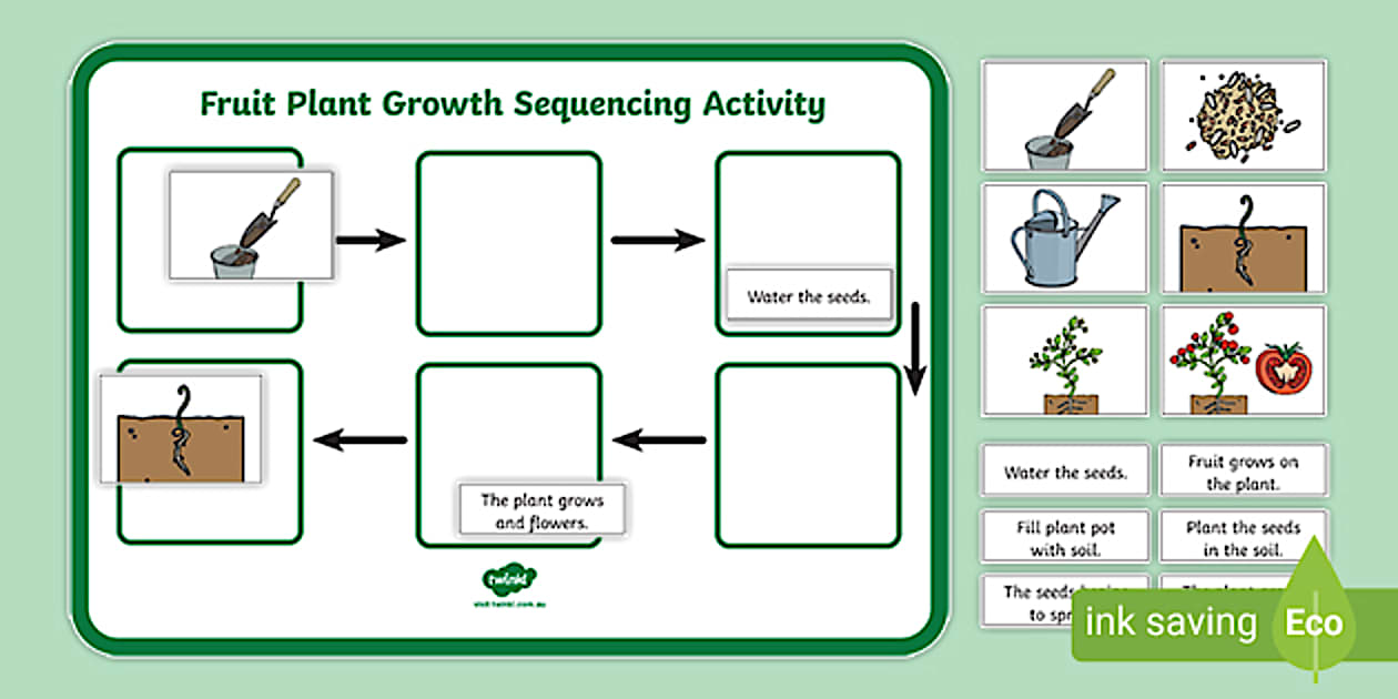 Black and White Plant Growth Sequencing Activity - Twinkl