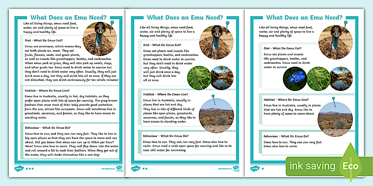Emu Reading Exercise | Primary Biology resource - Twinkl