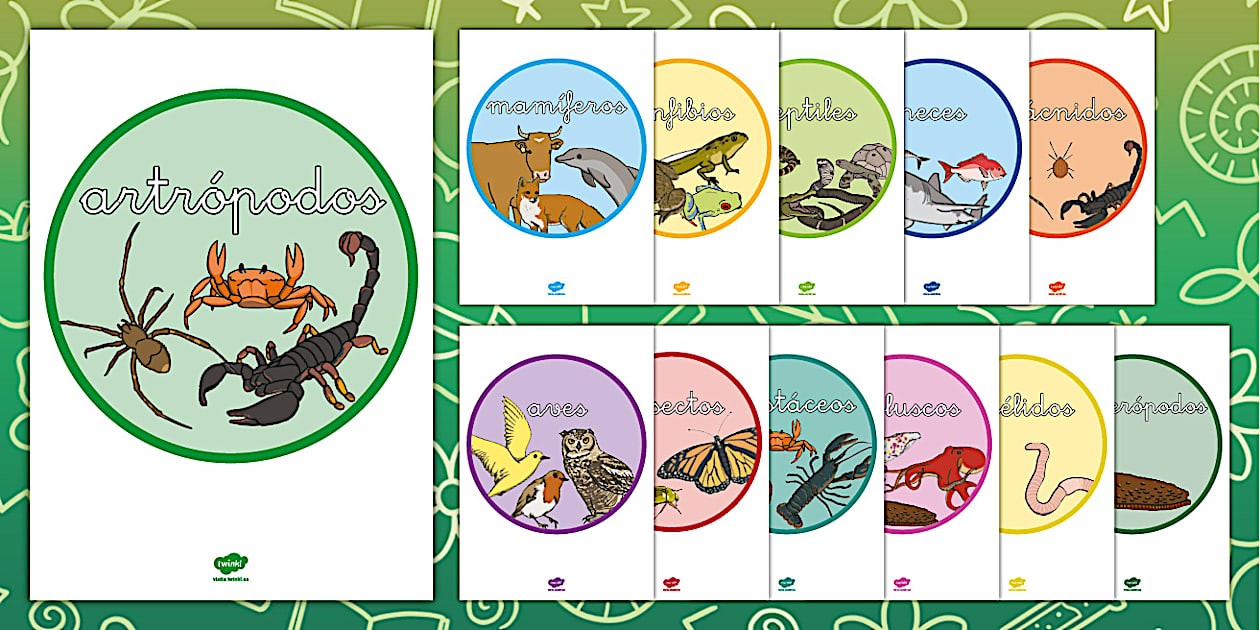 Pósters: Grupos de animales - Carteles para el aula