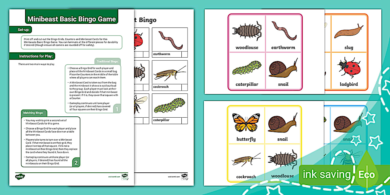 Minibeasts Basic Bingo Game (Hecho por educadores) - Twinkl