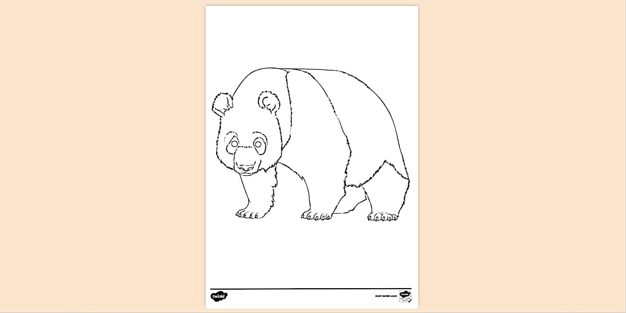 Endangered Panda Colouring Sheet | Colouring Sheets - Twinkl