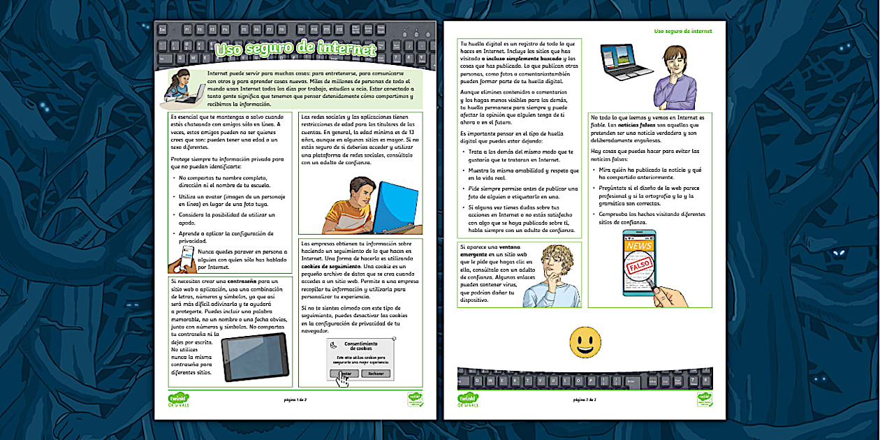 Ficha informativa: uso seguro de Internet - Twinkl