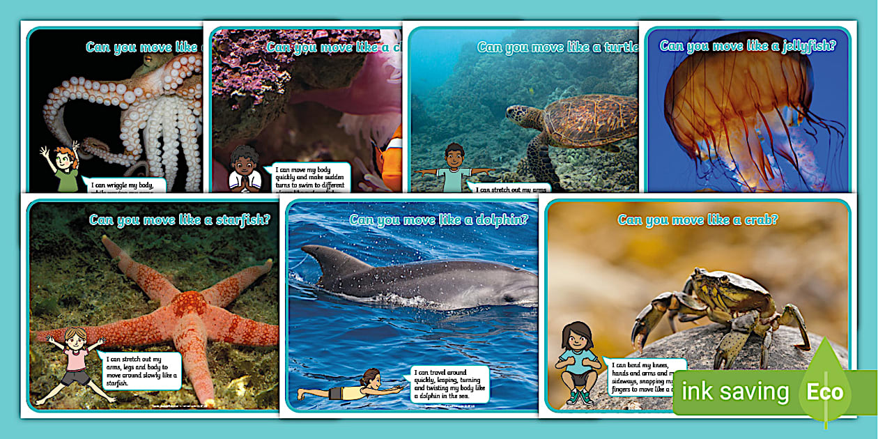 Under the Sea Creatures Movement Display Posters - Twinkl