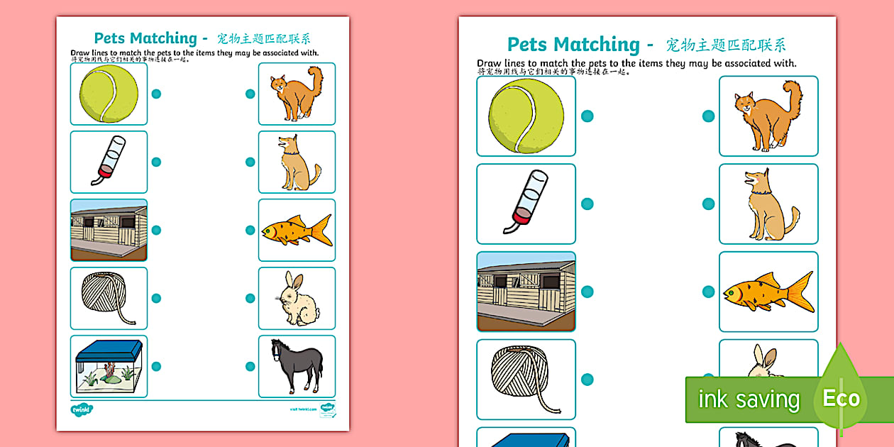 Black and White Pets Matching Activity English/Mandarin Chinese