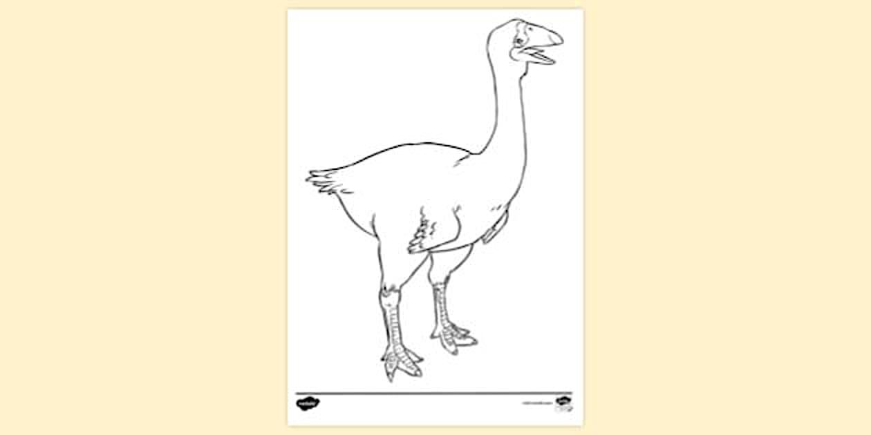 Genyornis Colouring | Colouring Sheets (teacher made)