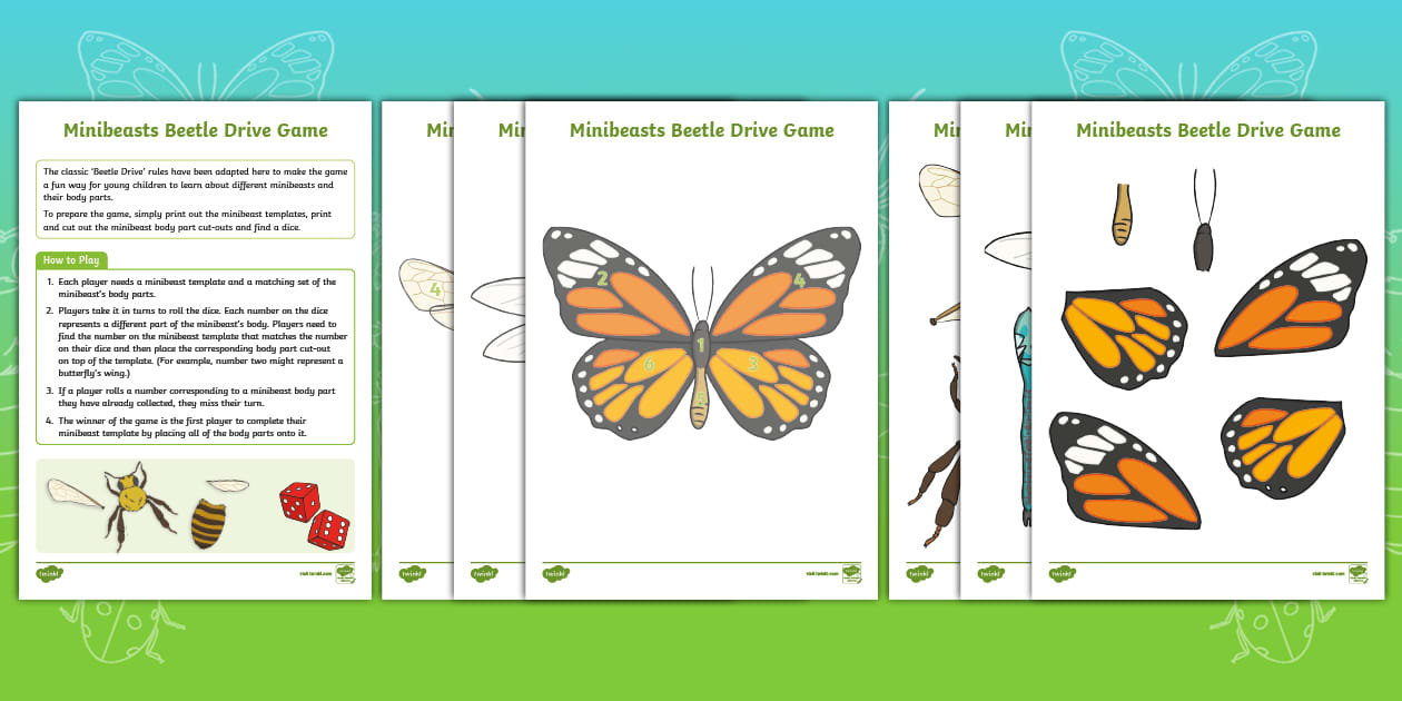 Minibeasts Beetle Drive Game | Twinkl Early Years Resources