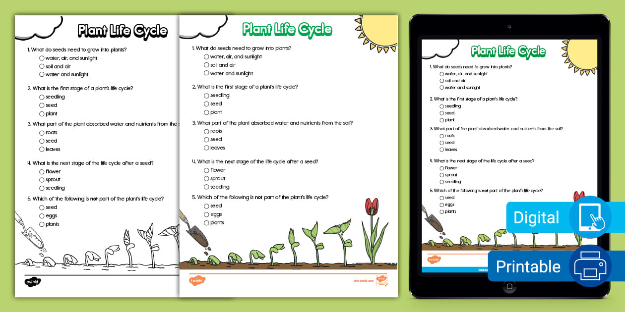 Plant Life Cycle Quick Quiz for K-2nd Grade