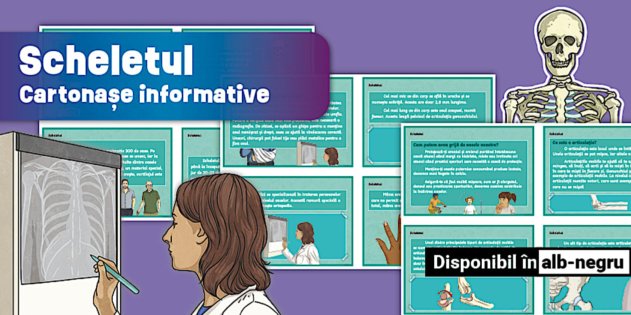 Scheletul – Cartonașe informative